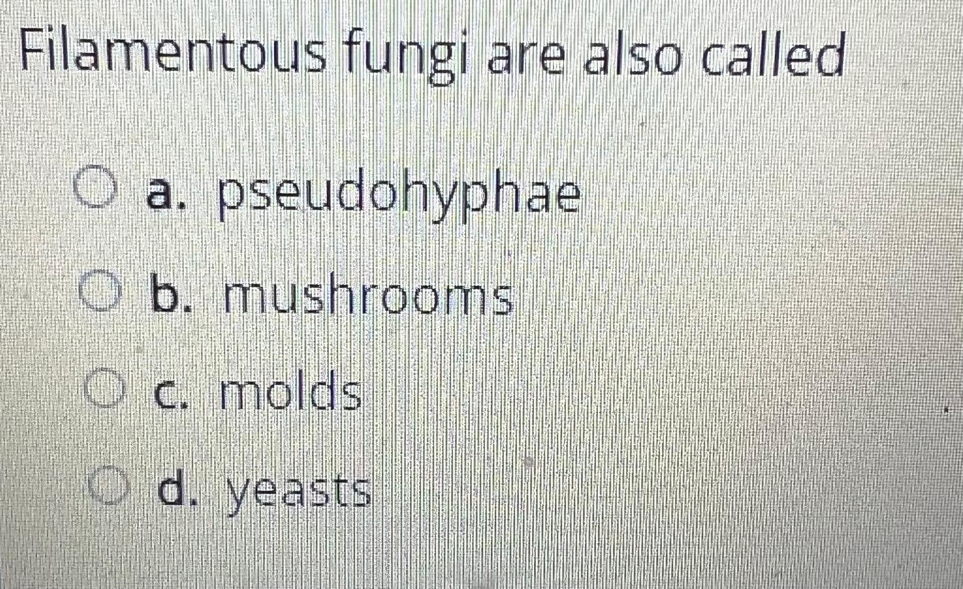 Solved Filamentous fungi are also calleda. ﻿pseudohyphaeb. | Chegg.com