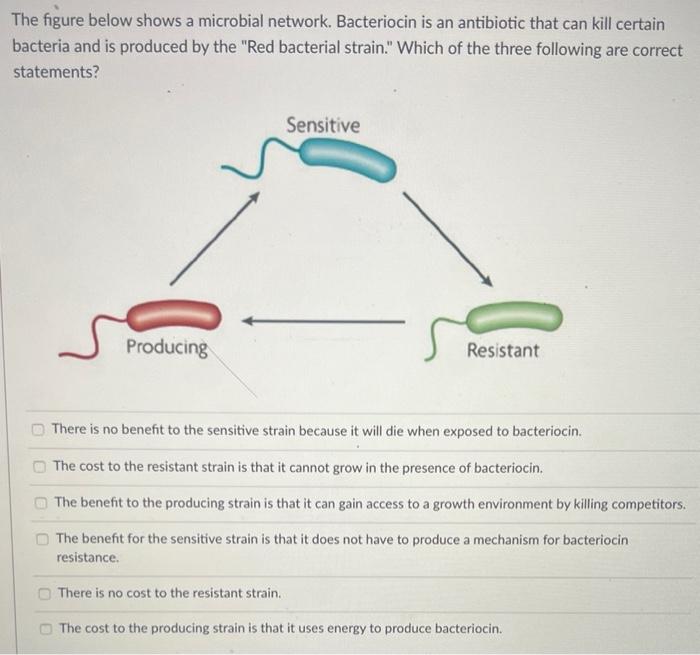 Solved The figure below shows a microbial network. | Chegg.com