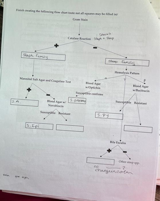 Solved Finish creating the following flow chart (note not | Chegg.com