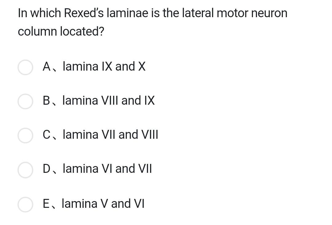 Solved In which Rexed's laminae is the lateral motor neuron | Chegg.com