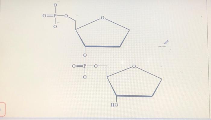 Solved draw the structure of the polynucleotide GT. | Chegg.com