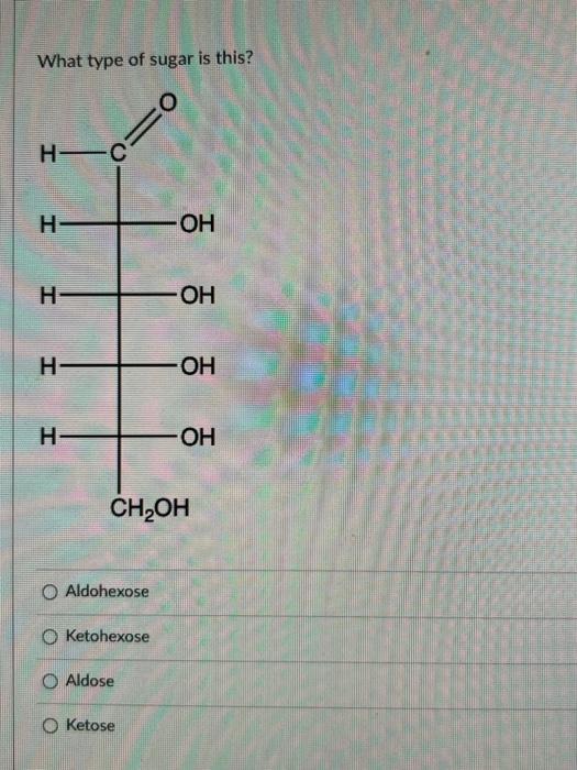 Solved What type of sugar is this? HO Н н Н- Н- O Aldohexose | Chegg.com