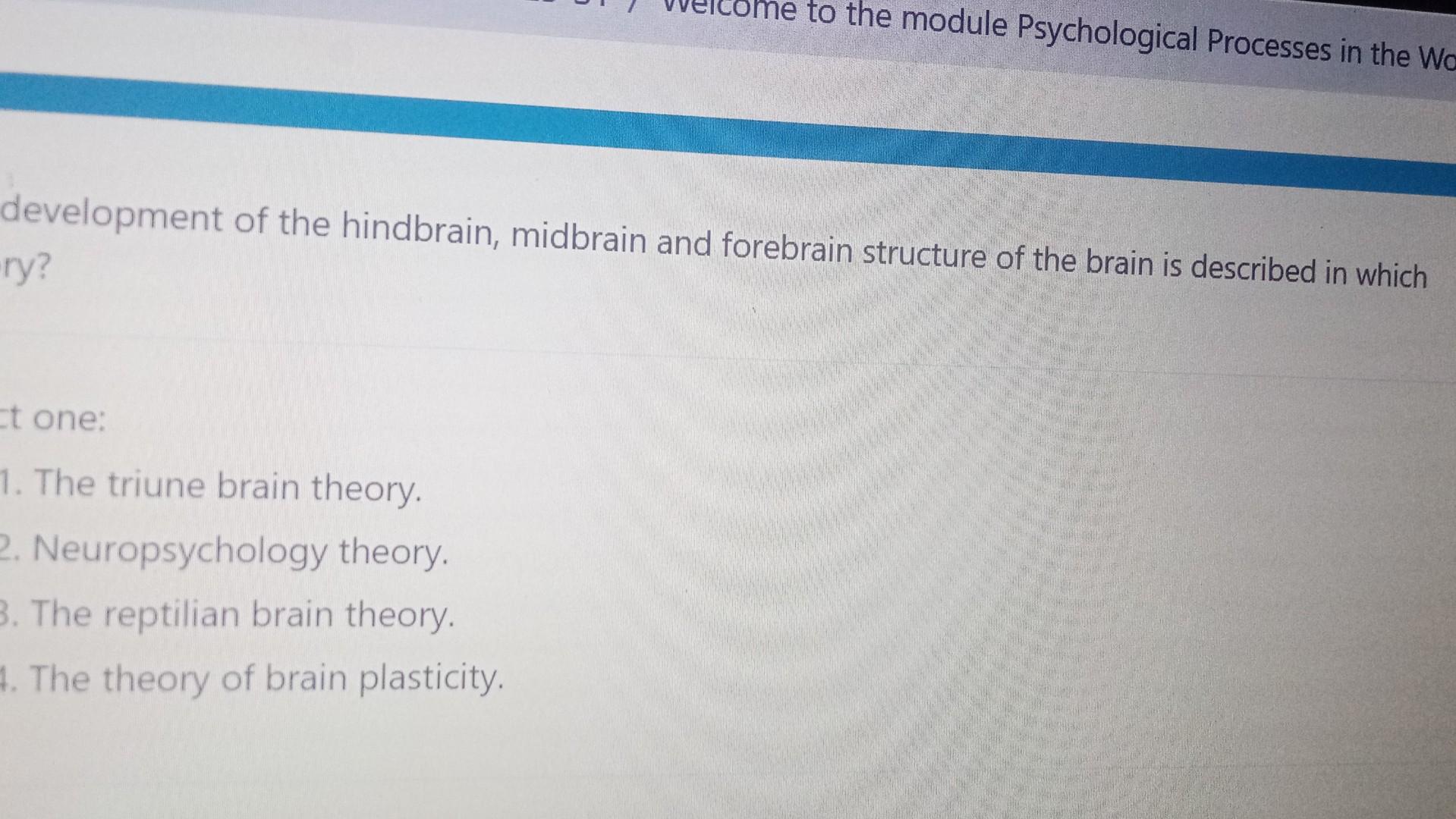 Solved development of the hindbrain, midbrain and forebrain | Chegg.com