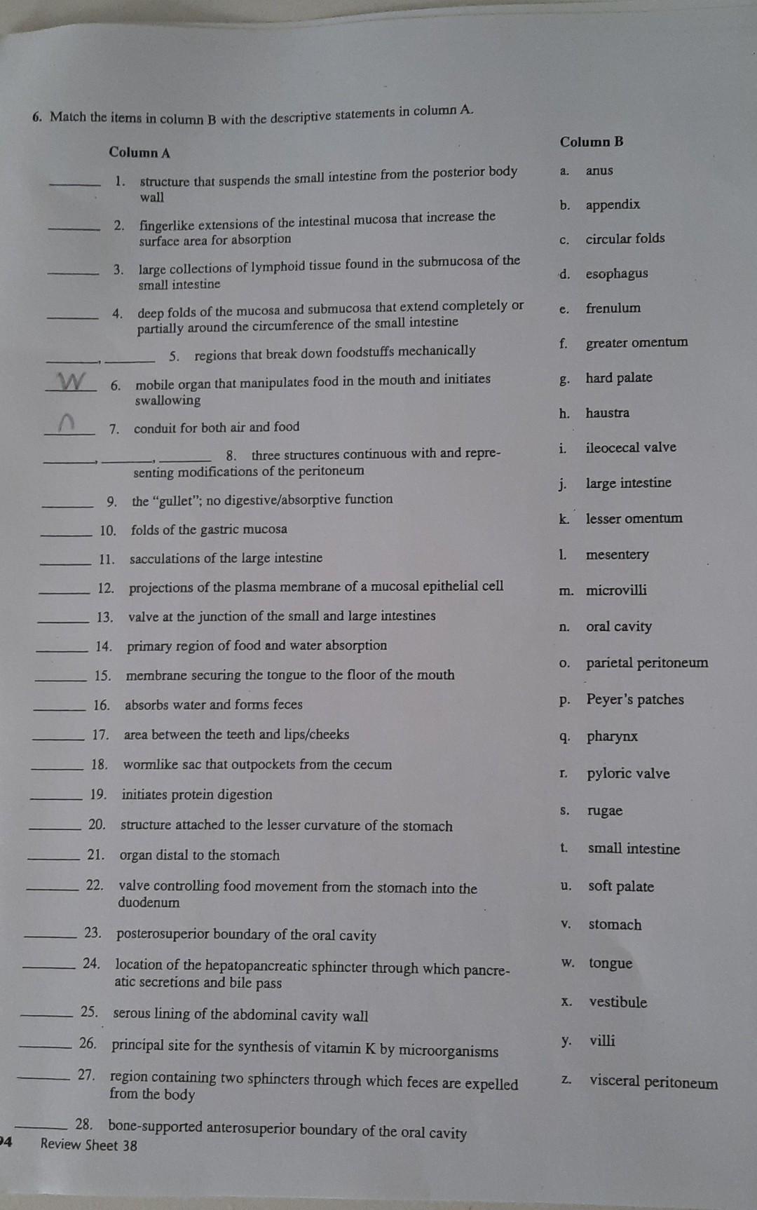 Solved 6. Match the items in column B with the descriptive | Chegg.com
