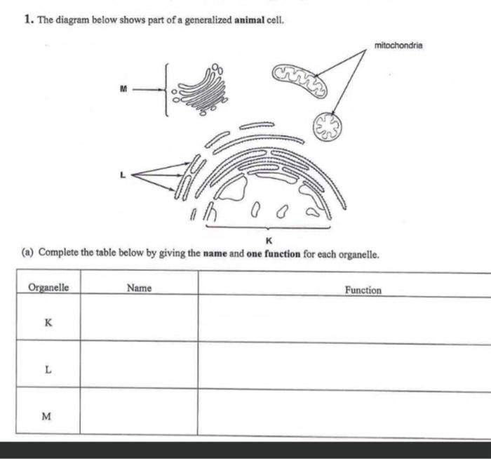 1. The diagram below shows part of a generalized | Chegg.com