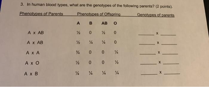 Solved 3. In human blood types, what are the genotypes of | Chegg.com