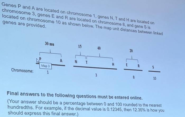 Solved Genes P and A are located on chromosome 1. genes N. T | Chegg.com