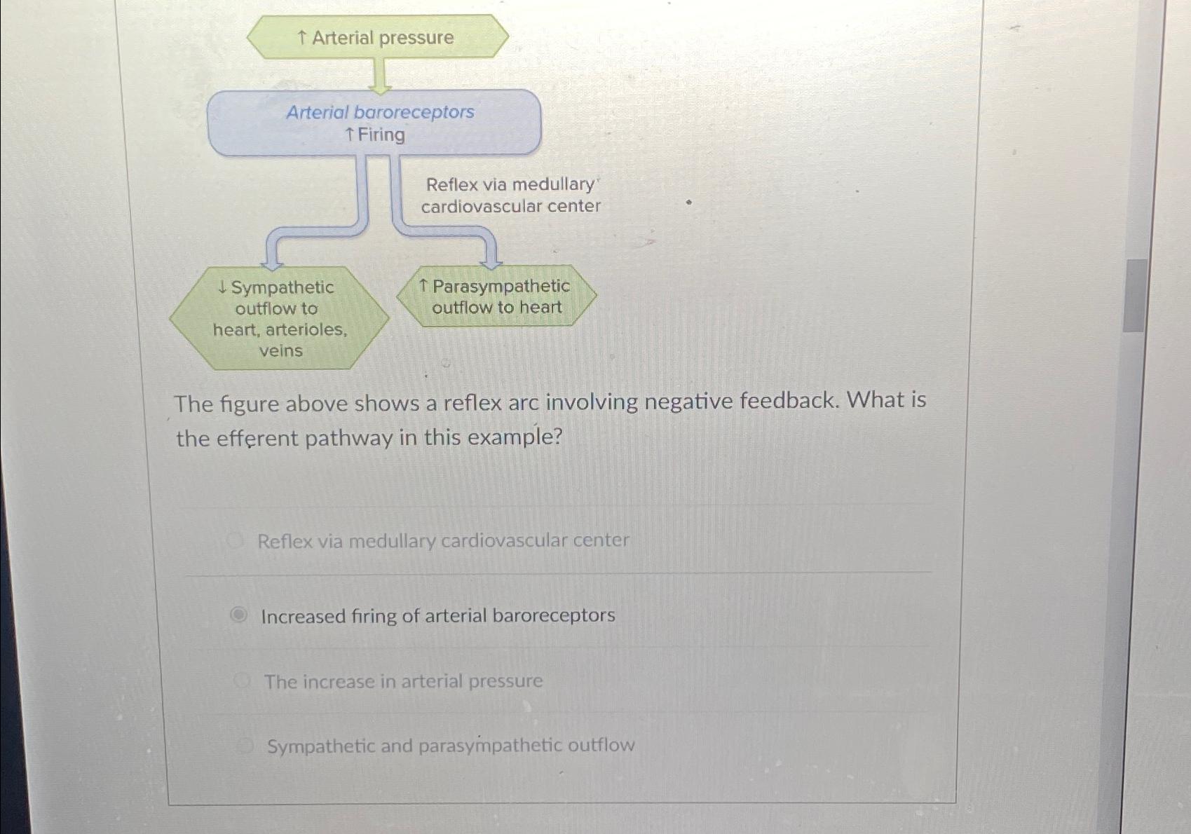 Solved The figure above shows a reflex arc involving | Chegg.com
