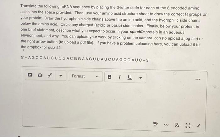 Solved translate the following mRNA sequence by placing the | Chegg.com