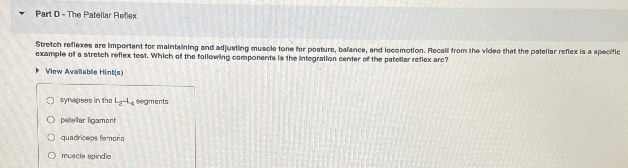 Solved Part D - ﻿The Patellar ReflexStretch reflexes are | Chegg.com