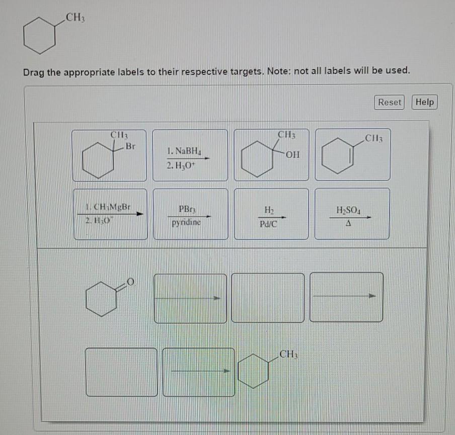Solved CH3 Drag the appropriate labels to their respective | Chegg.com