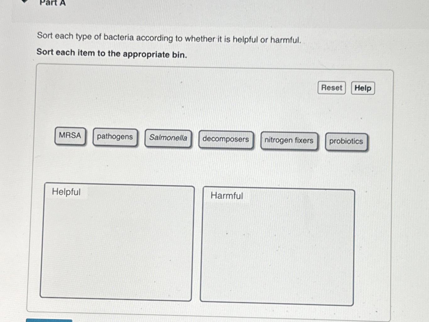 Solved Sort each type of bacteria according to whether it is | Chegg.com
