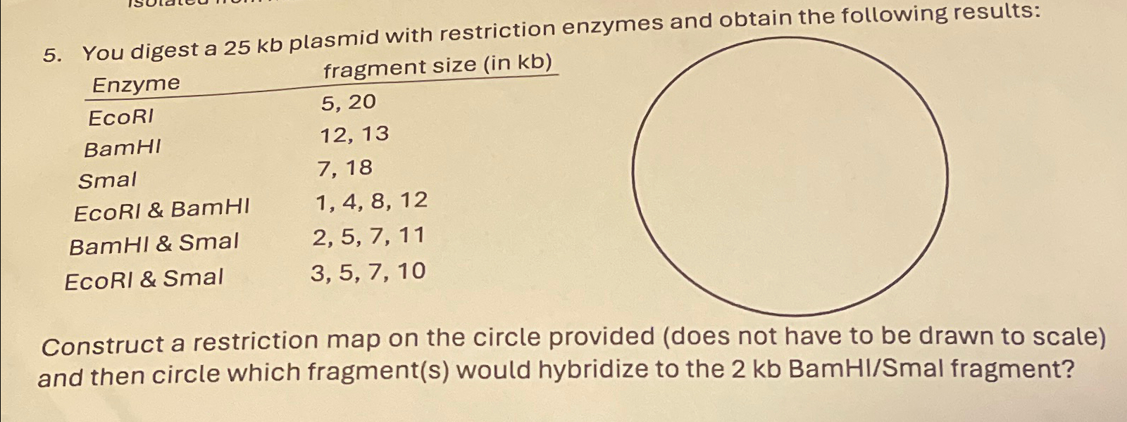 Solved You digest a 25kb ﻿plasmid with restriction enzymes | Chegg.com