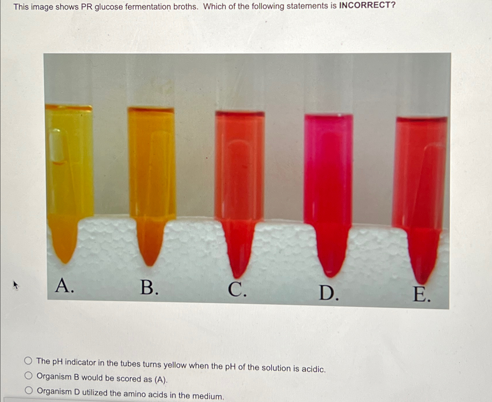 Solved This image shows PR glucose fermentation broths. | Chegg.com
