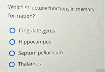 Solved Which structure functions in memory | Chegg.com