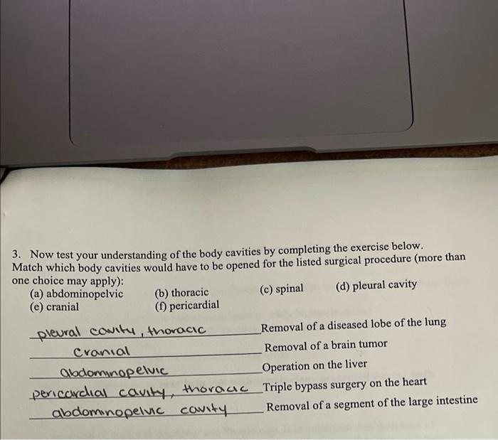 Solved 3. Now test your understanding of the body cavities | Chegg.com