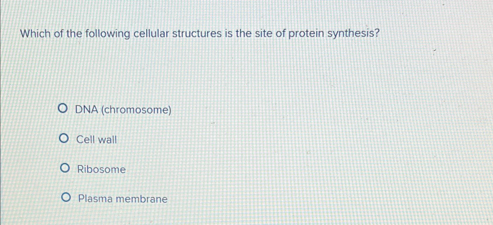 Solved Which of the following cellular structures is the | Chegg.com