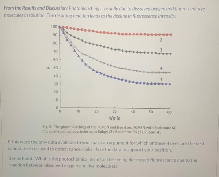 Solved From the Results and Discussion: Photobleaching is | Chegg.com
