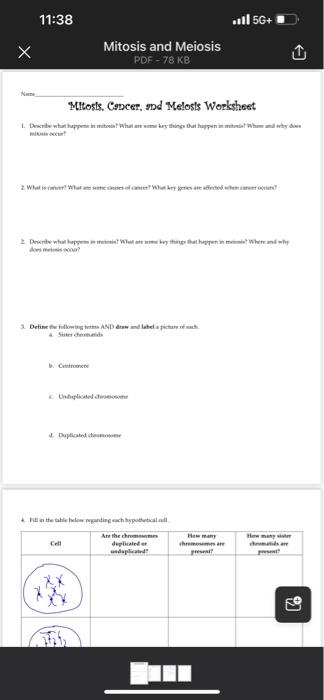 Name 11:38 Mitosis, Cancer, and Meiosis Worksheet 1. | Chegg.com