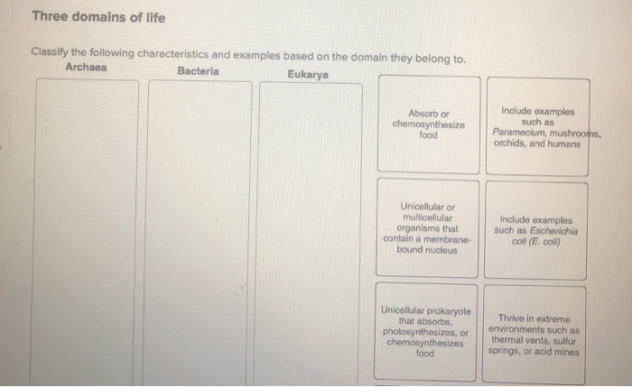 Solved Three domains of life Classify the following | Chegg.com Solved Three domains of life Classify the following | Chegg.com