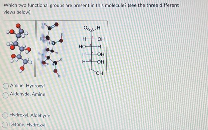Solved Which two functional groups are present in this | Chegg.com