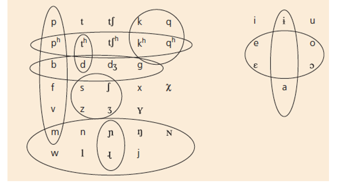 Solved Describe each class in terms of distinctive features, | Chegg.com
