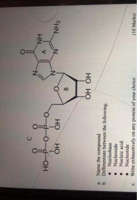 Solved a Esplain prodein based on atruciafe (5 Marks) b. | Chegg.com