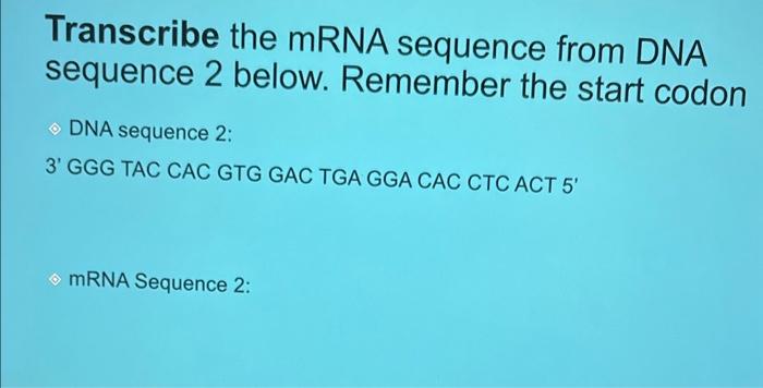 Solved Transcribe the mRNA sequence from DNA sequence 1 | Chegg.com