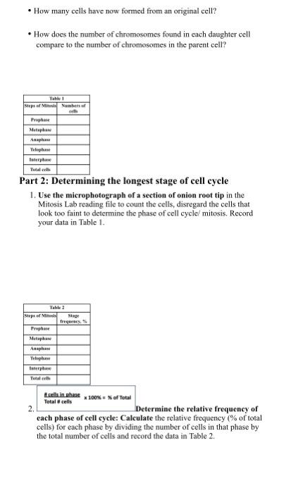 Solved Part I. Observing onion root tip cells NOTE: For the | Chegg.com