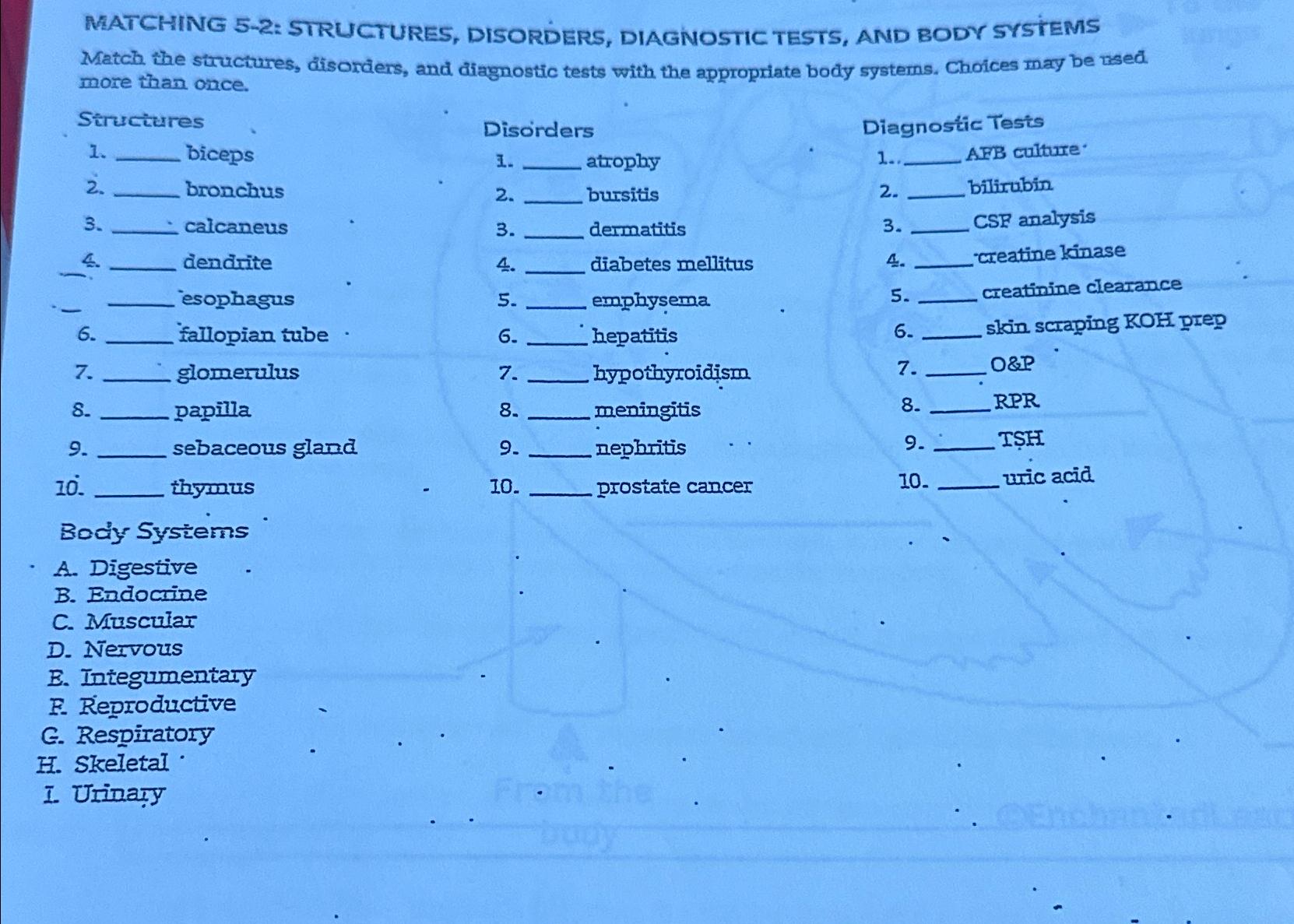 Solved MATCHING 5-2: STRUCTURES, DISORDERS, DIAGNOSTIC | Chegg.com