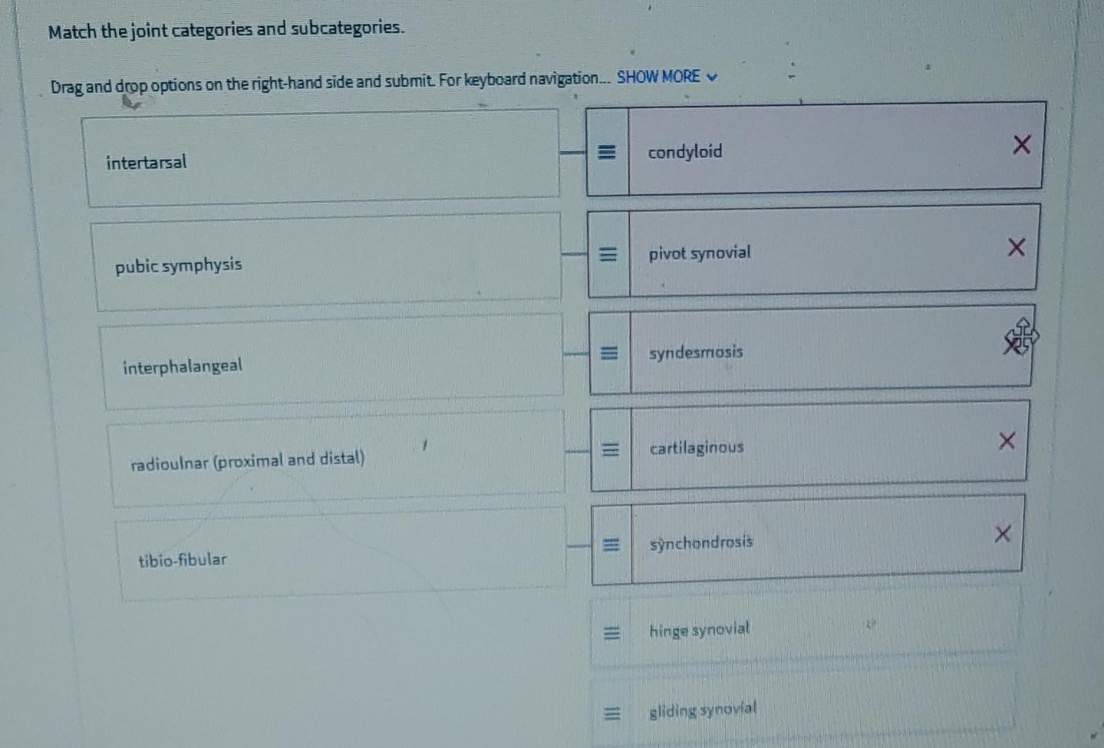 Solved Drag and drop options on the right-hand side and | Chegg.com