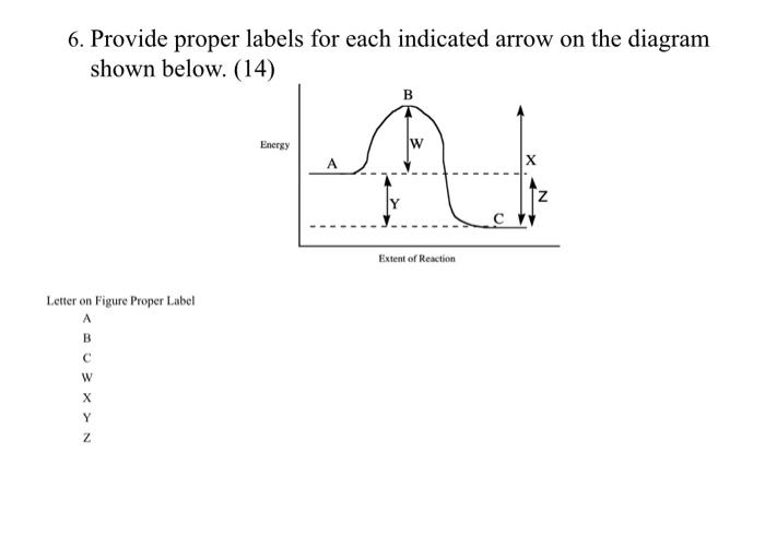 Solved 6. Provide proper labels for each indicated arrow on | Chegg.com