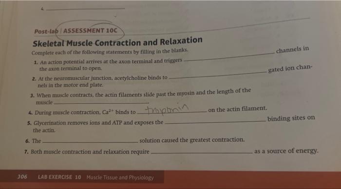 Solved Post-lab / ASSESSMENT 10C Skeletal Muscle Contraction | Chegg.com
