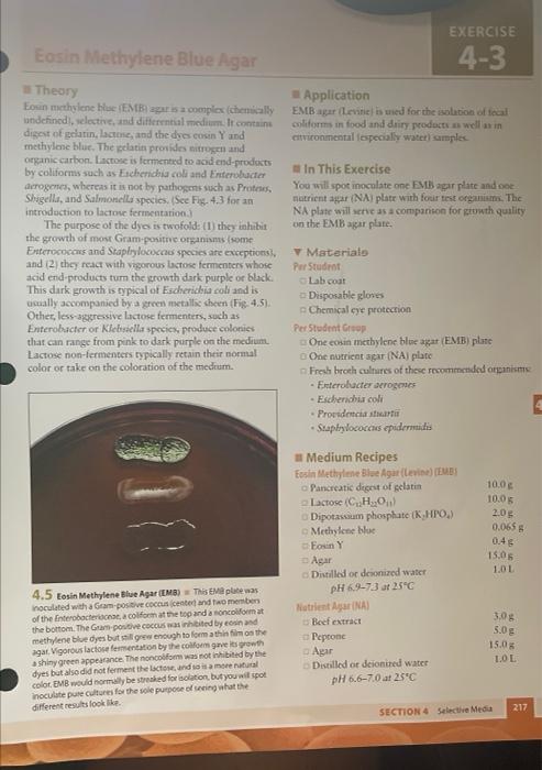 Solved OBSERVATIONS AND INTERPRETATIONS 1 Refer to Table | Chegg.com