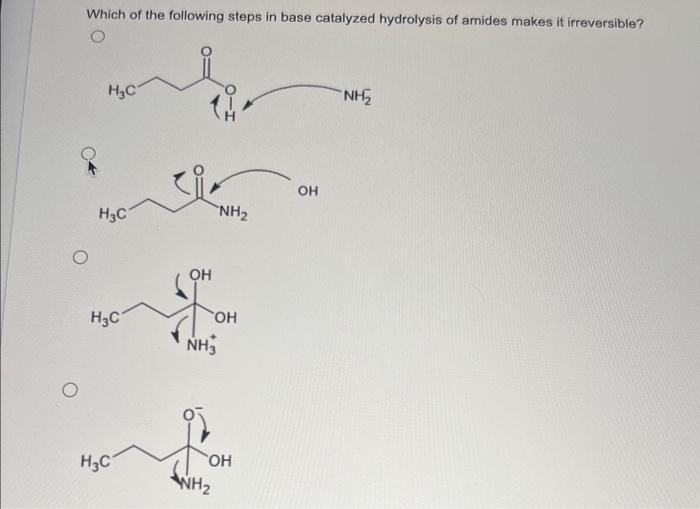 Solved Which of the following steps in base catalyzed | Chegg.com