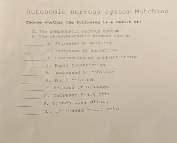 Autonomic nervous system Matching Choose whether the | Chegg.com