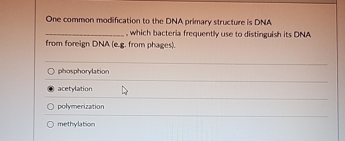 Solved One common modification to the DNA primary structure | Chegg.com