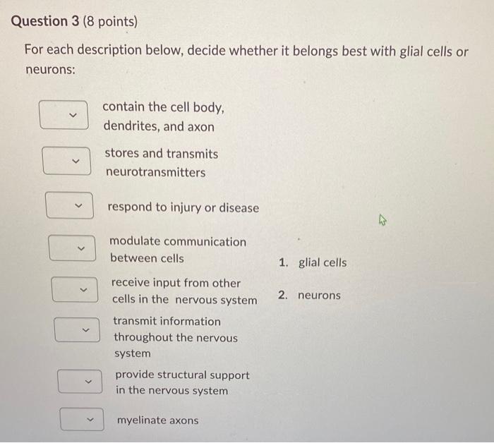 Solved Match each description with the most appropriate | Chegg.com