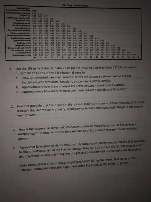 18 Gene Distance Matrix Moma splens Saccharomyces | Chegg.com