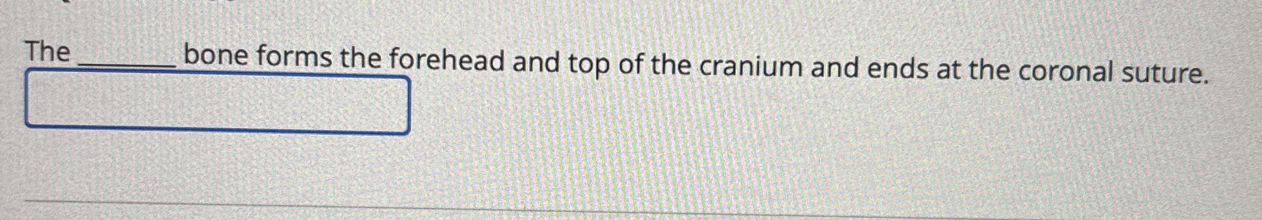 Solved The q, ﻿bone forms the forehead and top of the | Chegg.com