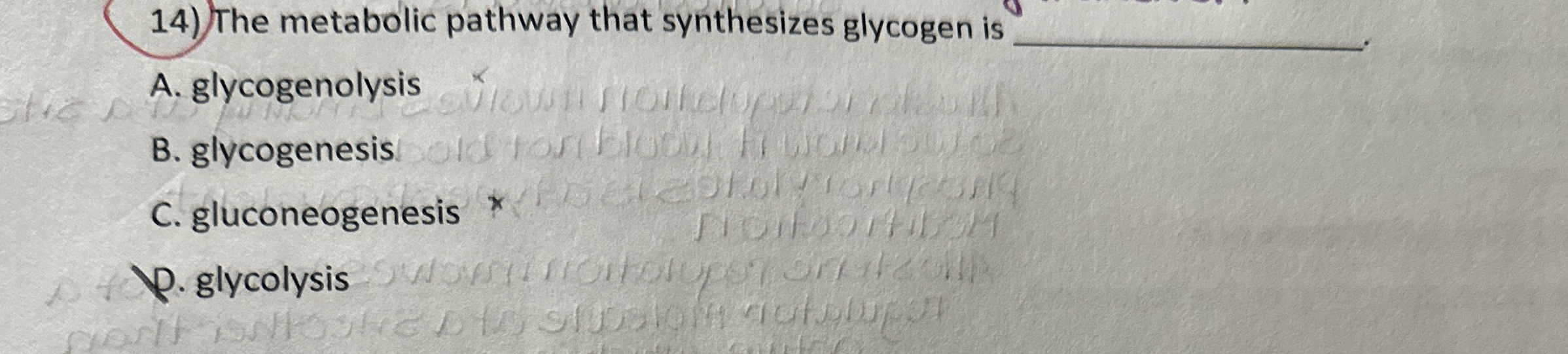 Solved The metabolic pathway that synthesizes glycogen isA. | Chegg.com