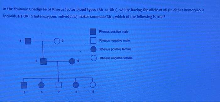 Solved In the following pedigree of Rhesus factor blood | Chegg.com