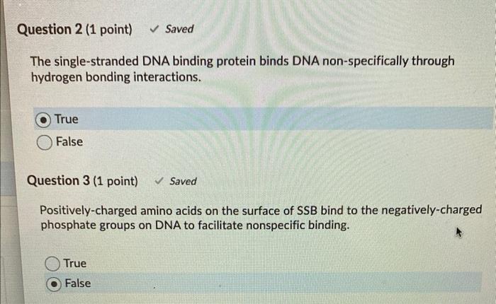 Solved The single-stranded DNA binding protein binds DNA | Chegg.com