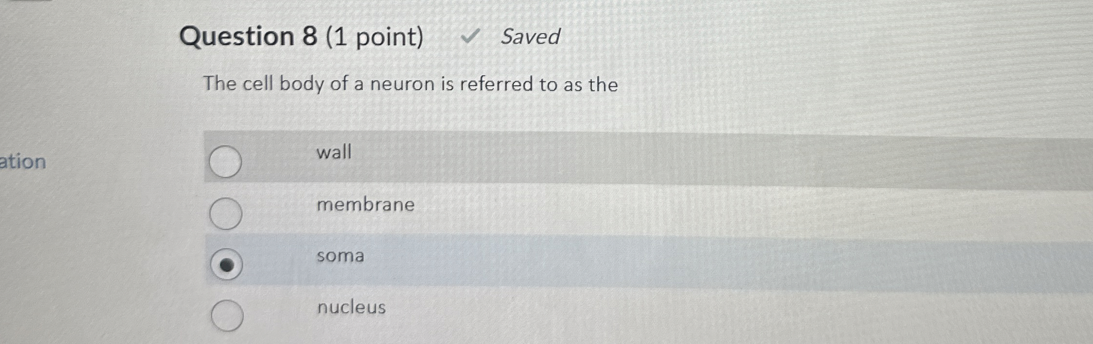 Solved Question 8 (1 ﻿point)The cell body of a neuron is | Chegg.com