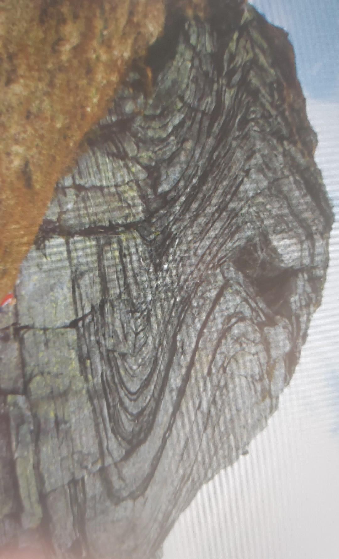 Solved Figure 3.1 View looking at a subvertical exposure | Chegg.com