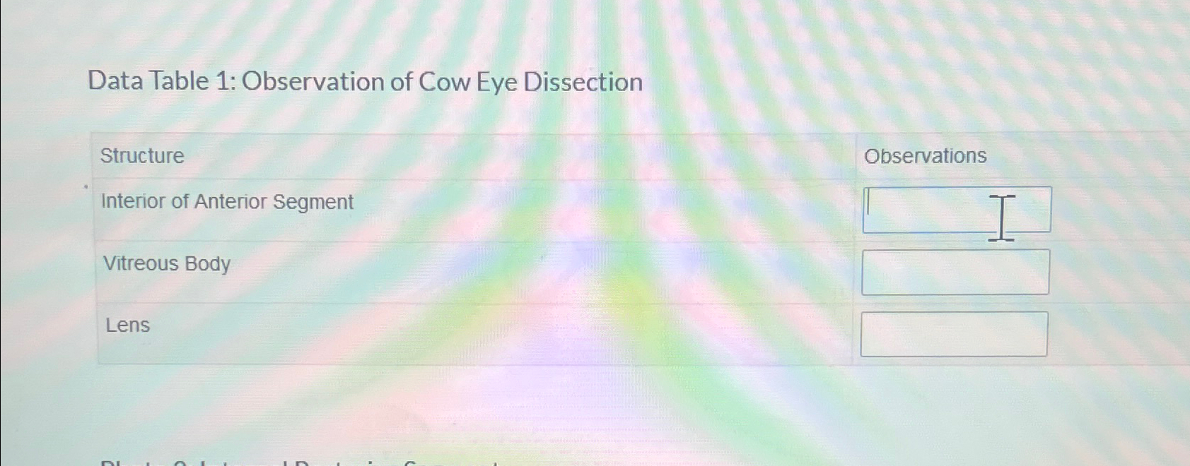 Solved Data Table 1: Observation of Cow Eye | Chegg.com