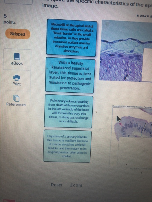 Compare the specific characteristics of the | Chegg.com