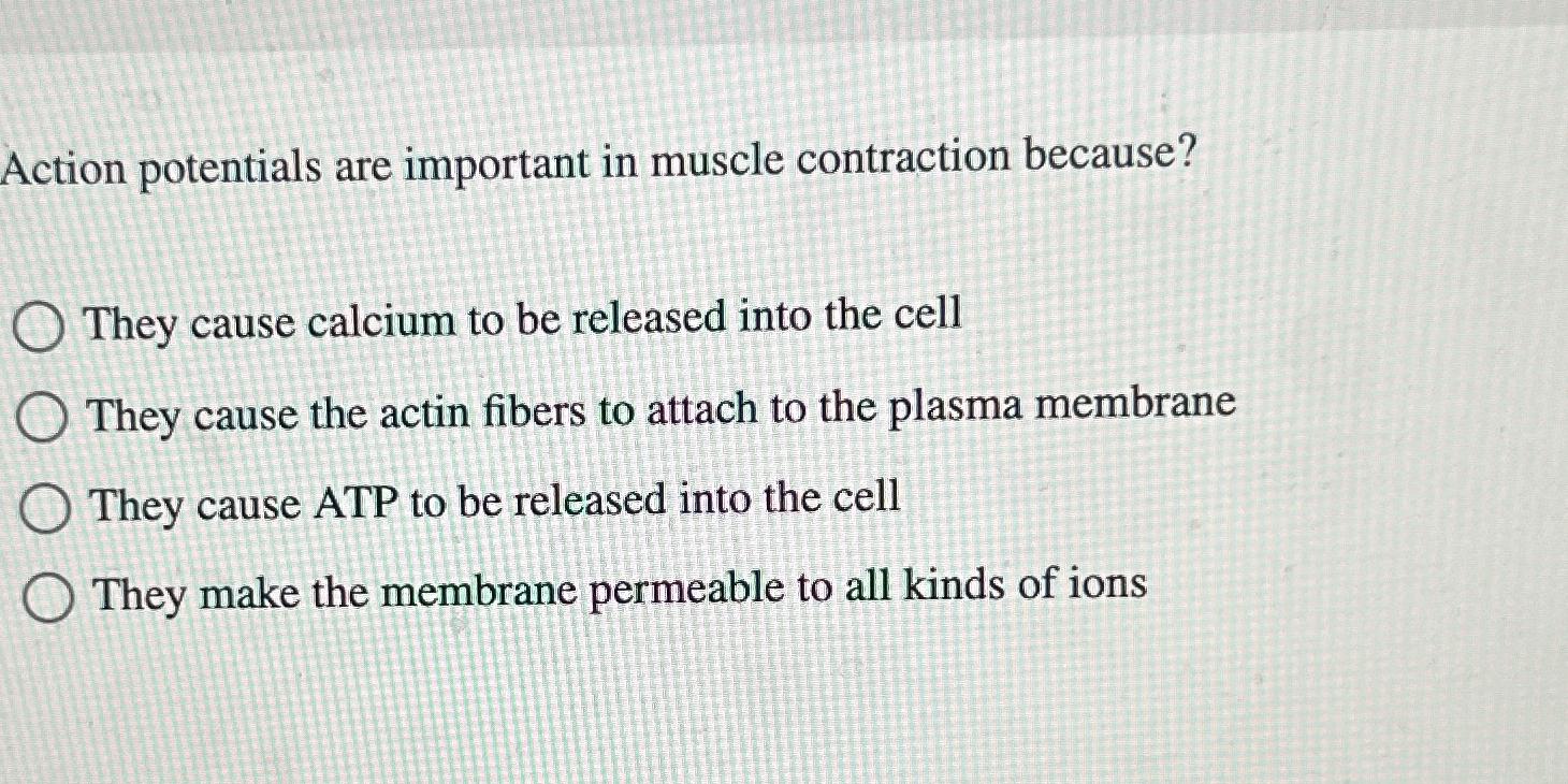 Solved Action potentials are important in muscle contraction | Chegg.com