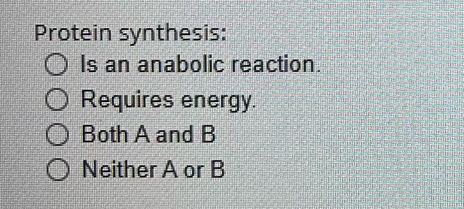 Solved Protein synthesis: ﻿Is an anabolic reactionRequires | Chegg.com