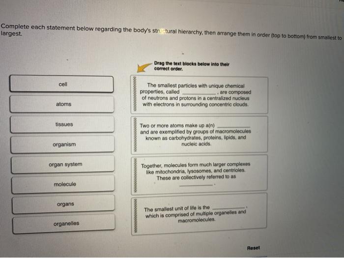 Solved Complete each statement below regarding the body's | Chegg.com